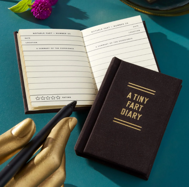 A Tiny Fart Diary Wileaway