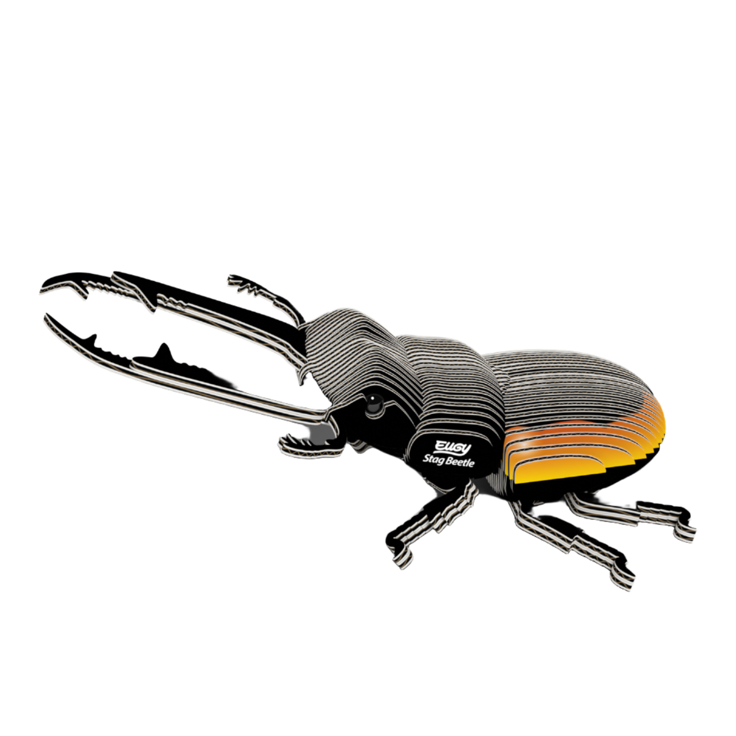 3D Cardboard Model Kit Beetle - Stag – Wileaway