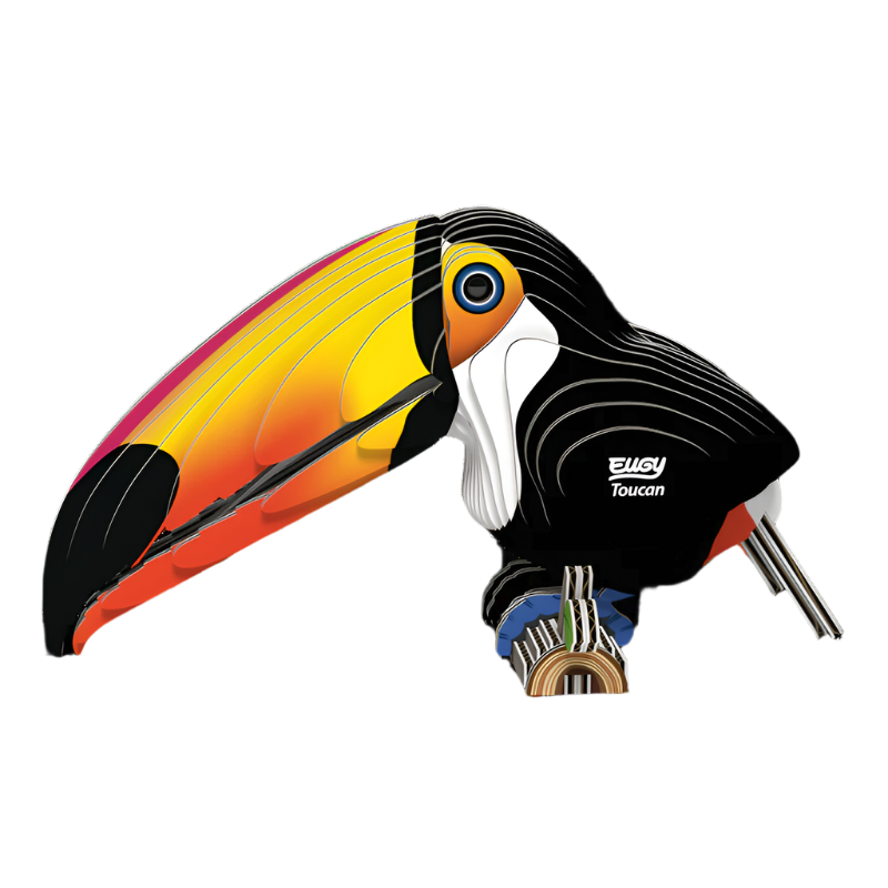 3D Cardboard Model Kit - Toucan – Wileaway