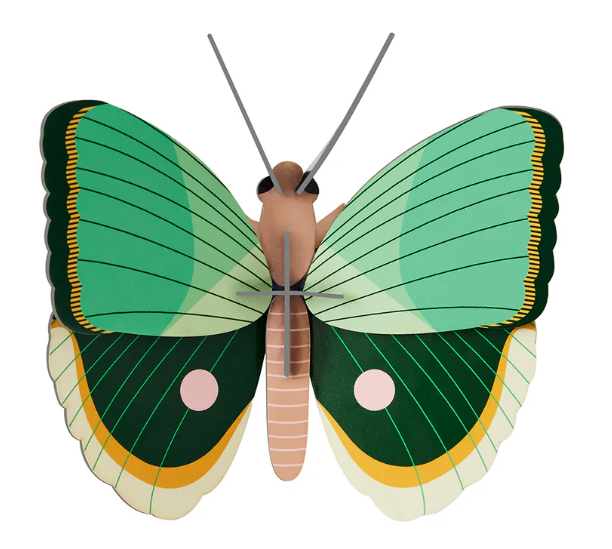 Cardboard Wall Art Small - Fern Striped Butterfly