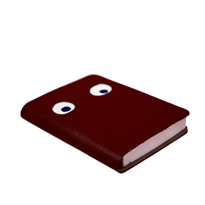 Googly Eye Mini Notebook - Brown – Wileaway