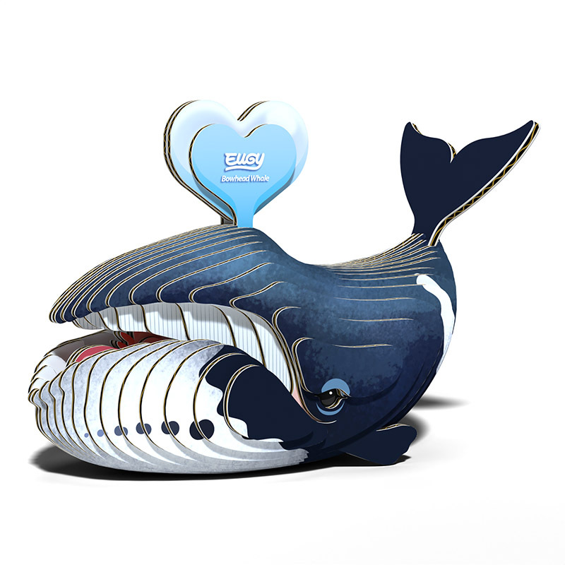 3D Cardboard Model Kit - Bowhead Whale – Wileaway
