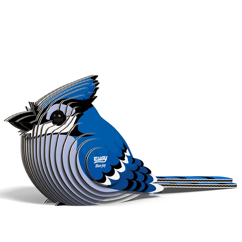 3D Cardboard Model Kit - Blue Jay – Wileaway