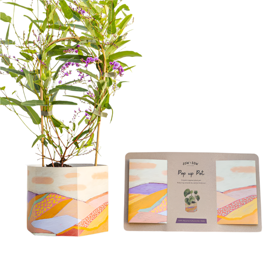 Pop Up Pot - ‘Clouds’ Large – Wileaway