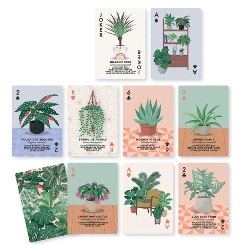 House Plants Playing Cards – Wileaway